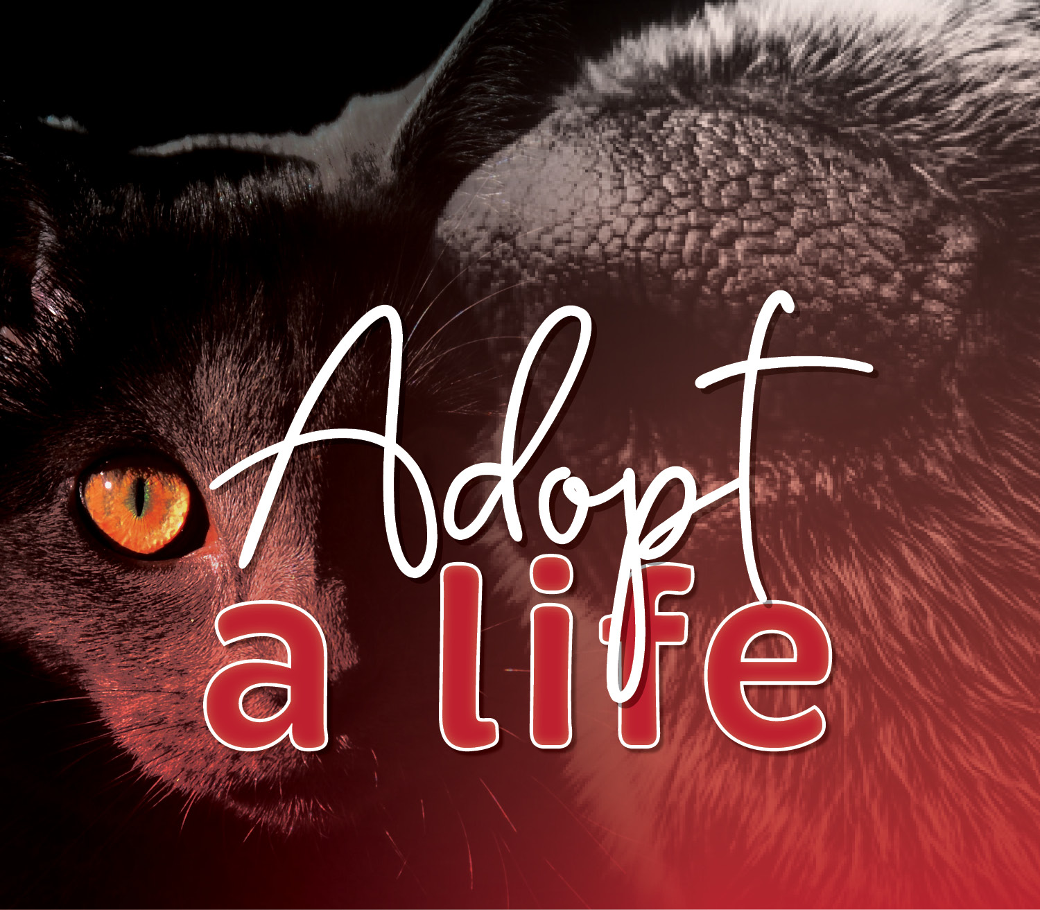 ADOPT A LIFE - Common Ground Community Rescue Network